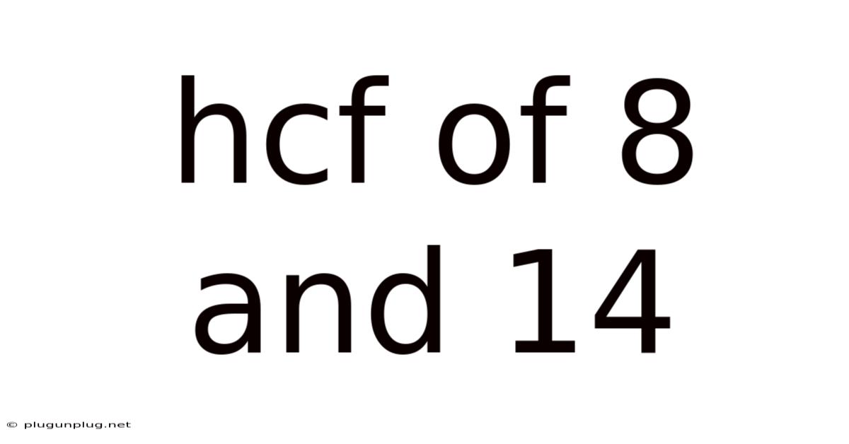 Hcf Of 8 And 14