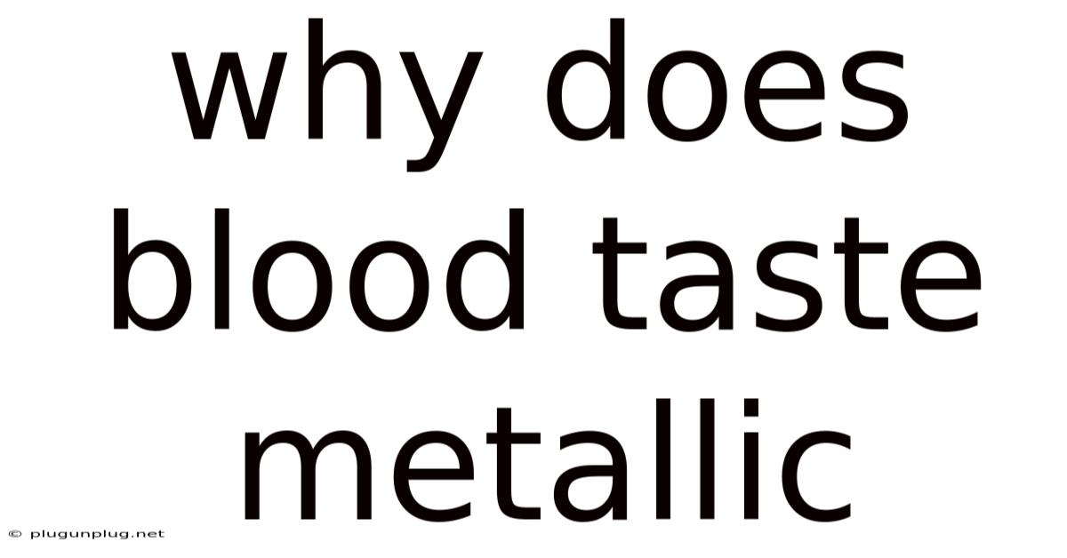 Why Does Blood Taste Metallic